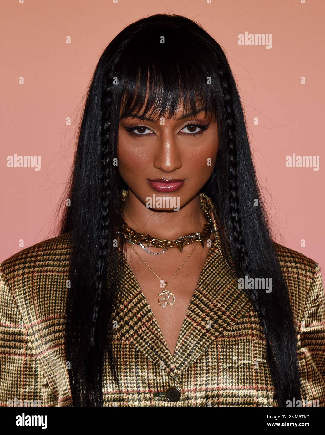 23 February 2023 - Los Angeles, California - Rhea Raj. 54th NAACP Image ...