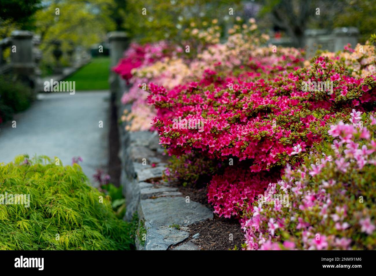 Garden with blooming trees during spring time Stock Photo - Alamy