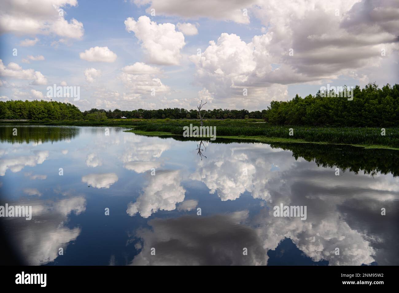 big clouds reflecting in water Stock Photo - Alamy