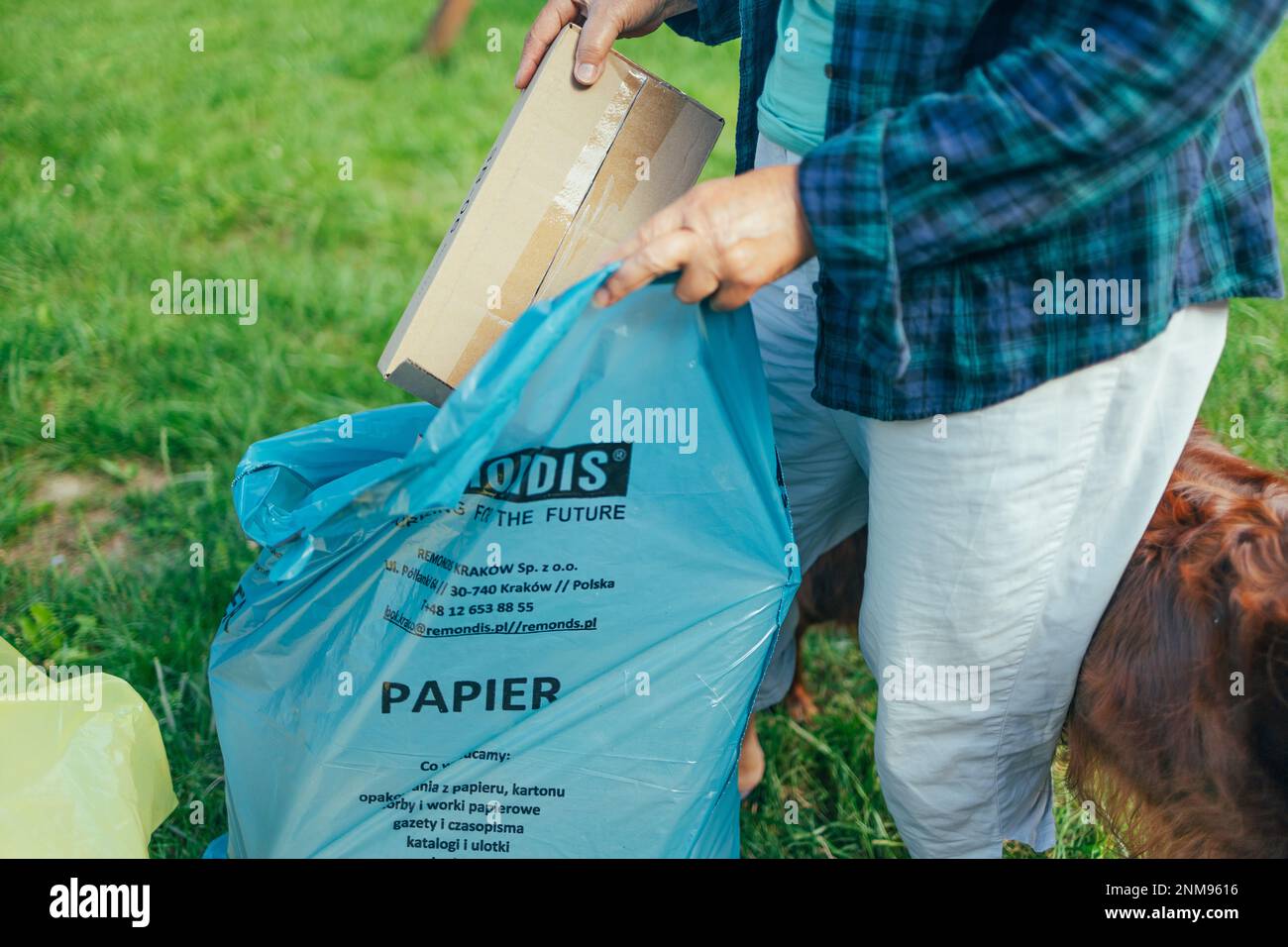 Person disposing of paper, throwing it into a blue plastic bag on ...