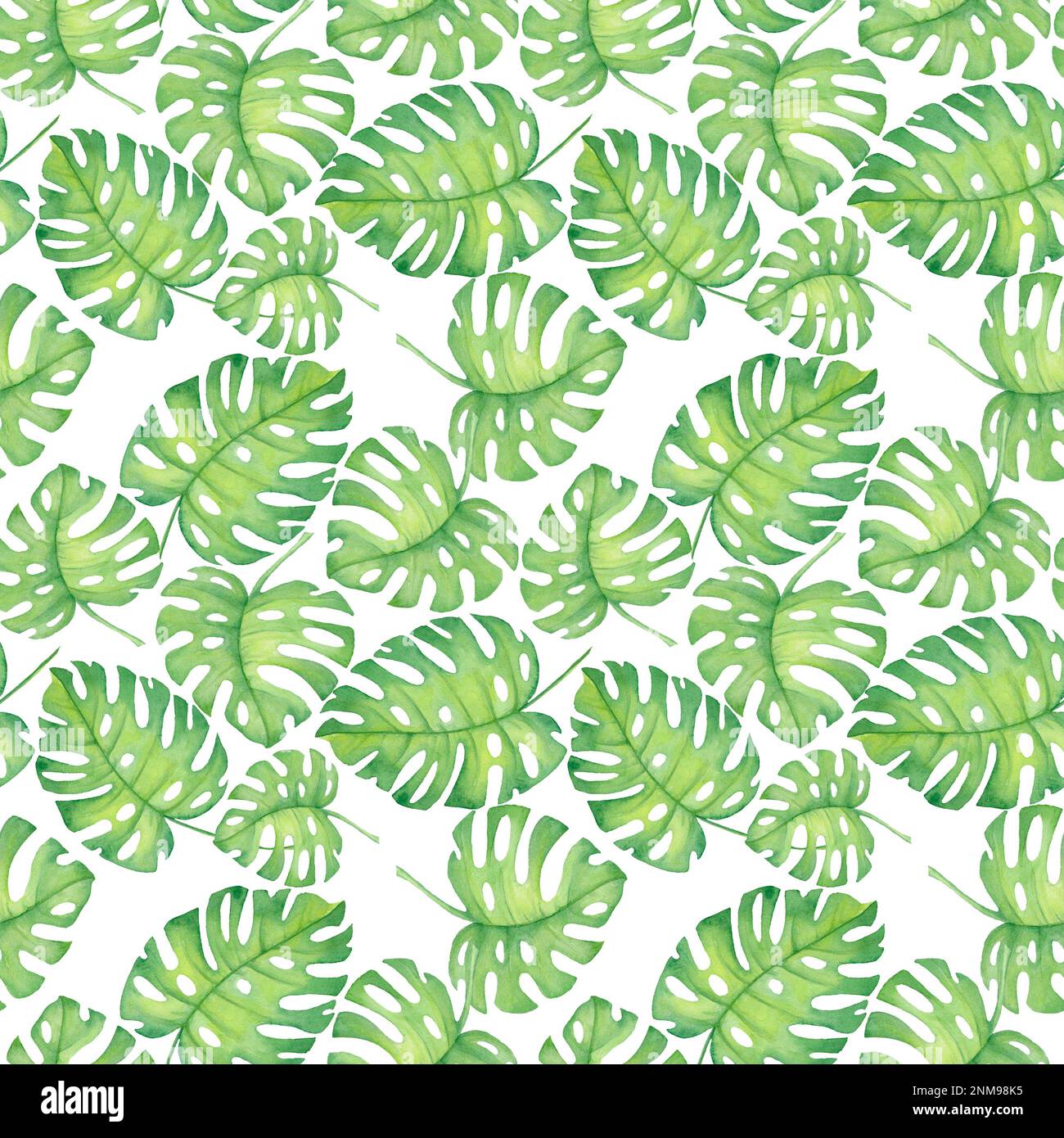 watercolor illustration of tropical pattern, hibiscus leaves monstera ...