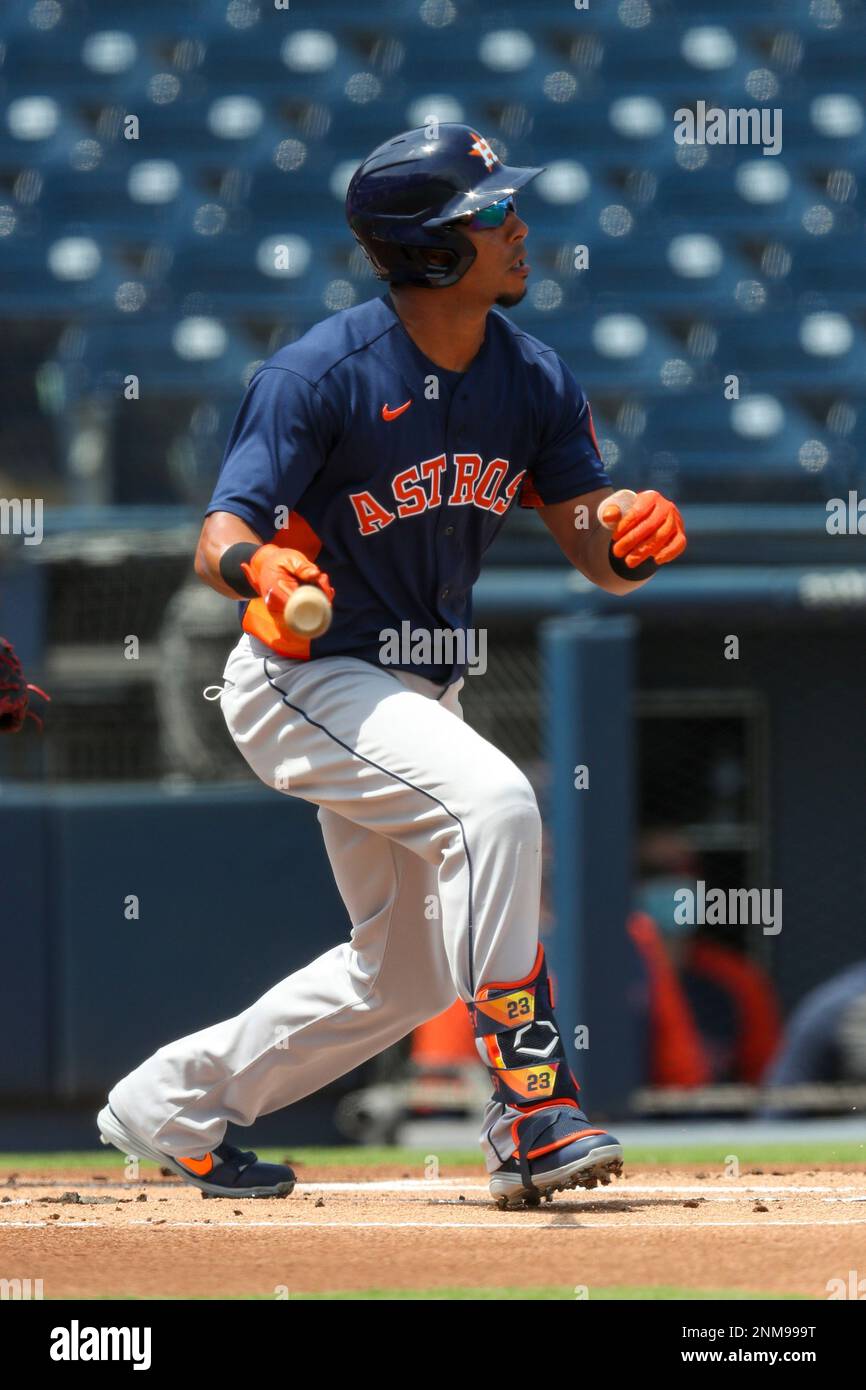 Houston Astros Michael Brantley during a baseball game against the ...