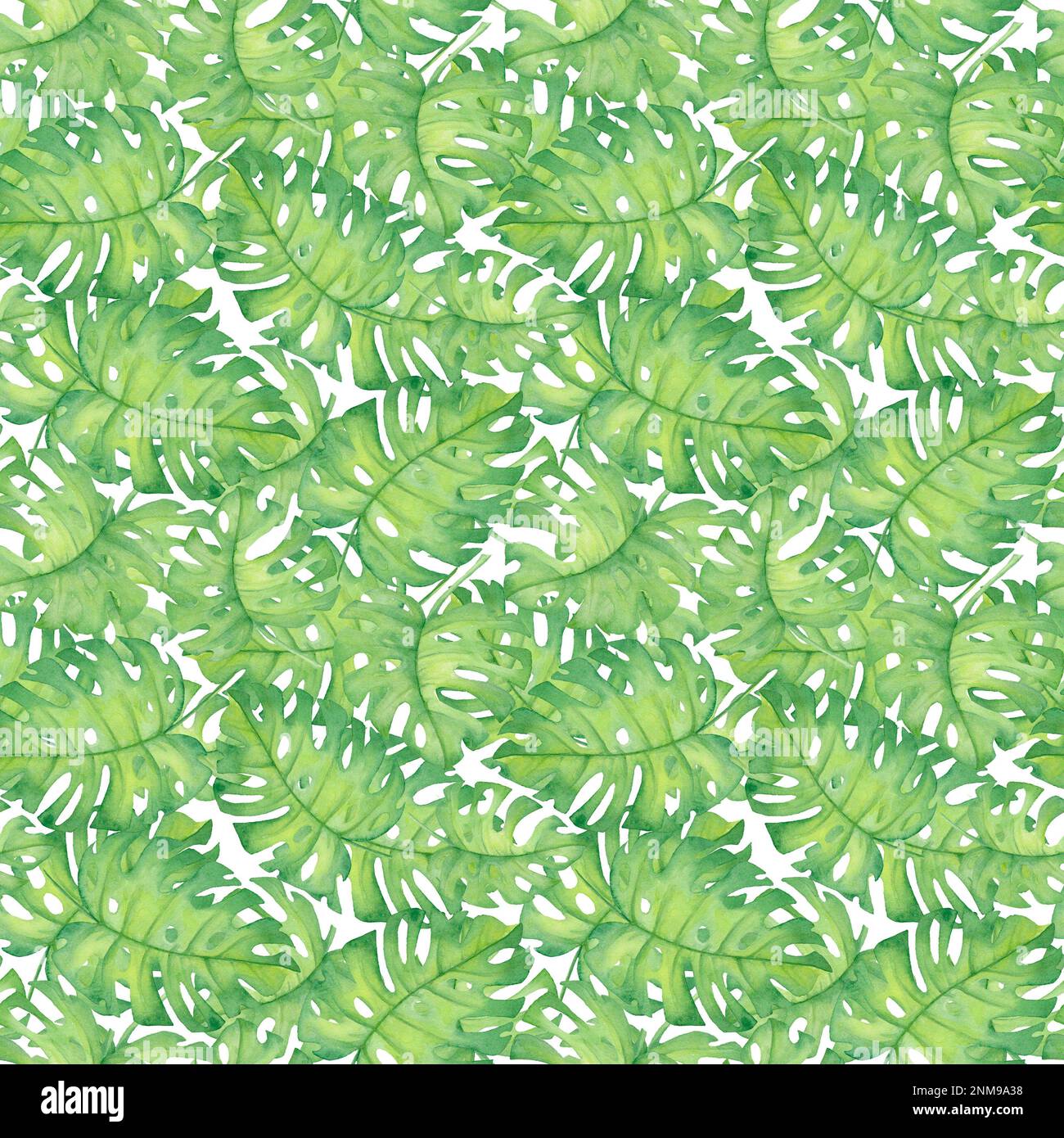 watercolor illustration of tropical pattern, hibiscus leaves monstera ...