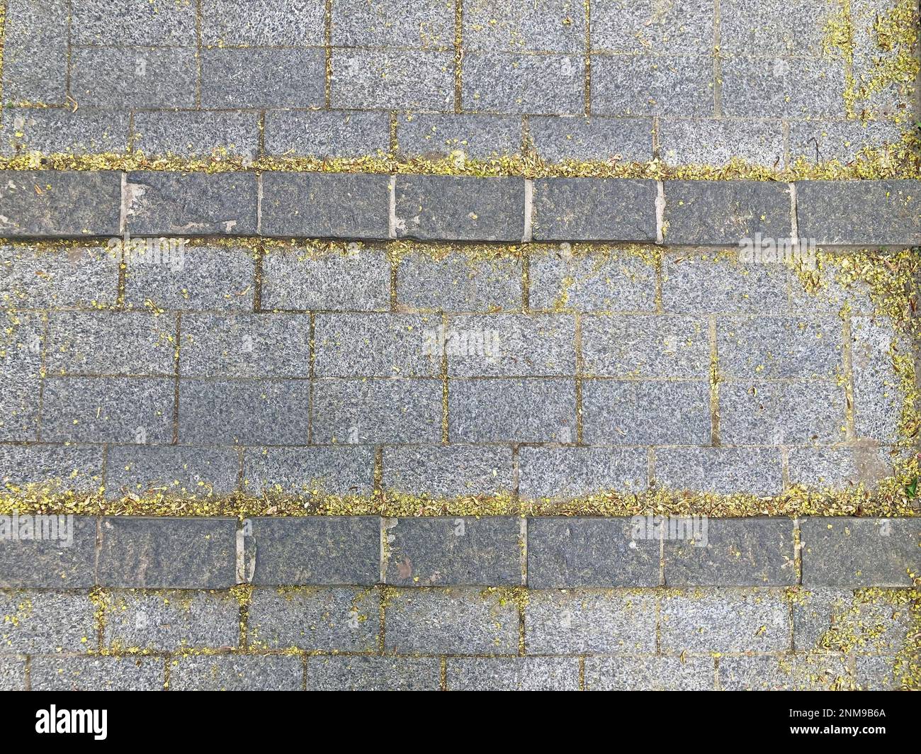 The Texture Of The Paved Tile On The Bottom Of The Street Cement Brick Squared Stone Floor