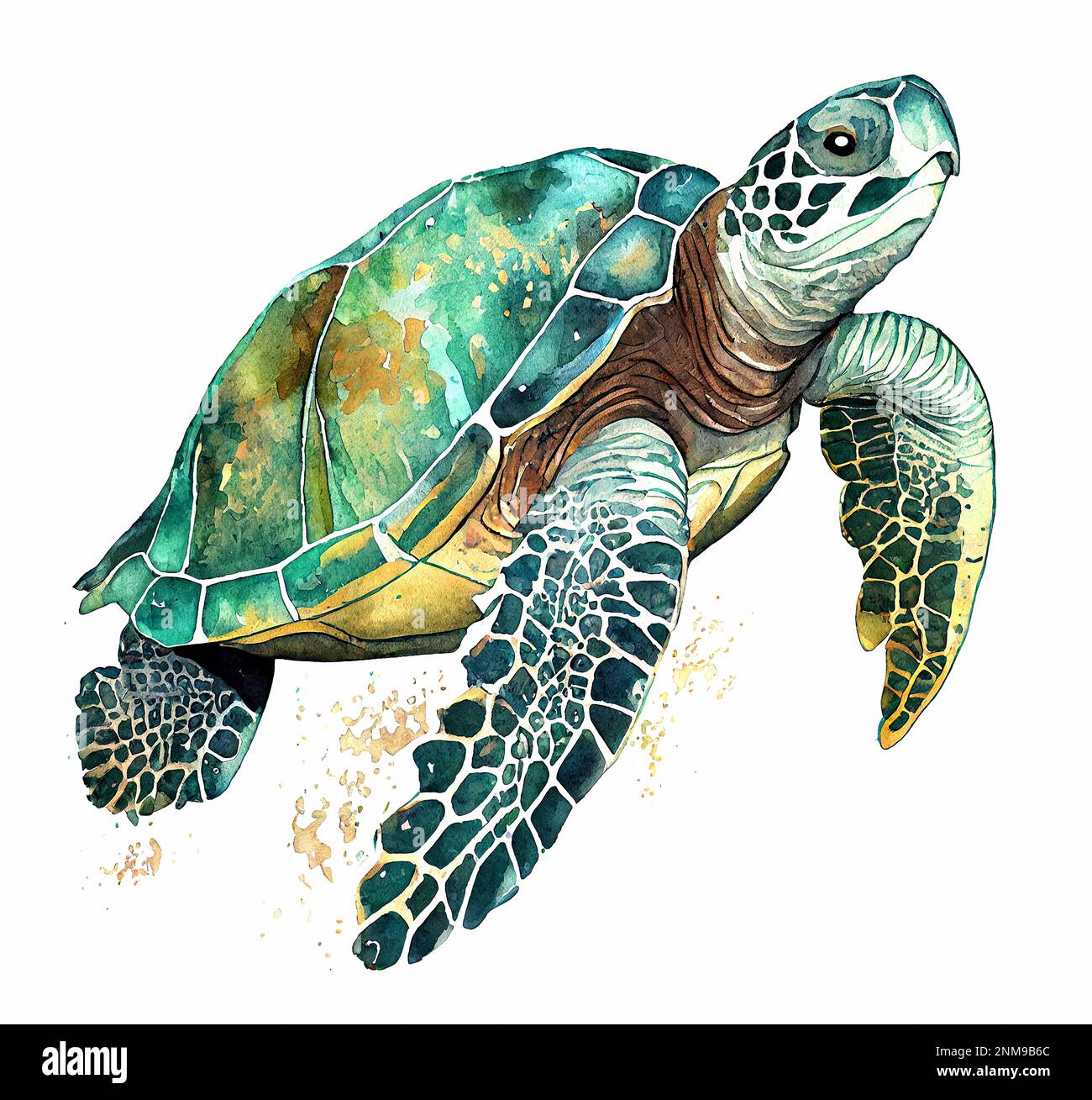 Sea turtle watercolor color illustration Sea animals art Stock Photo ...