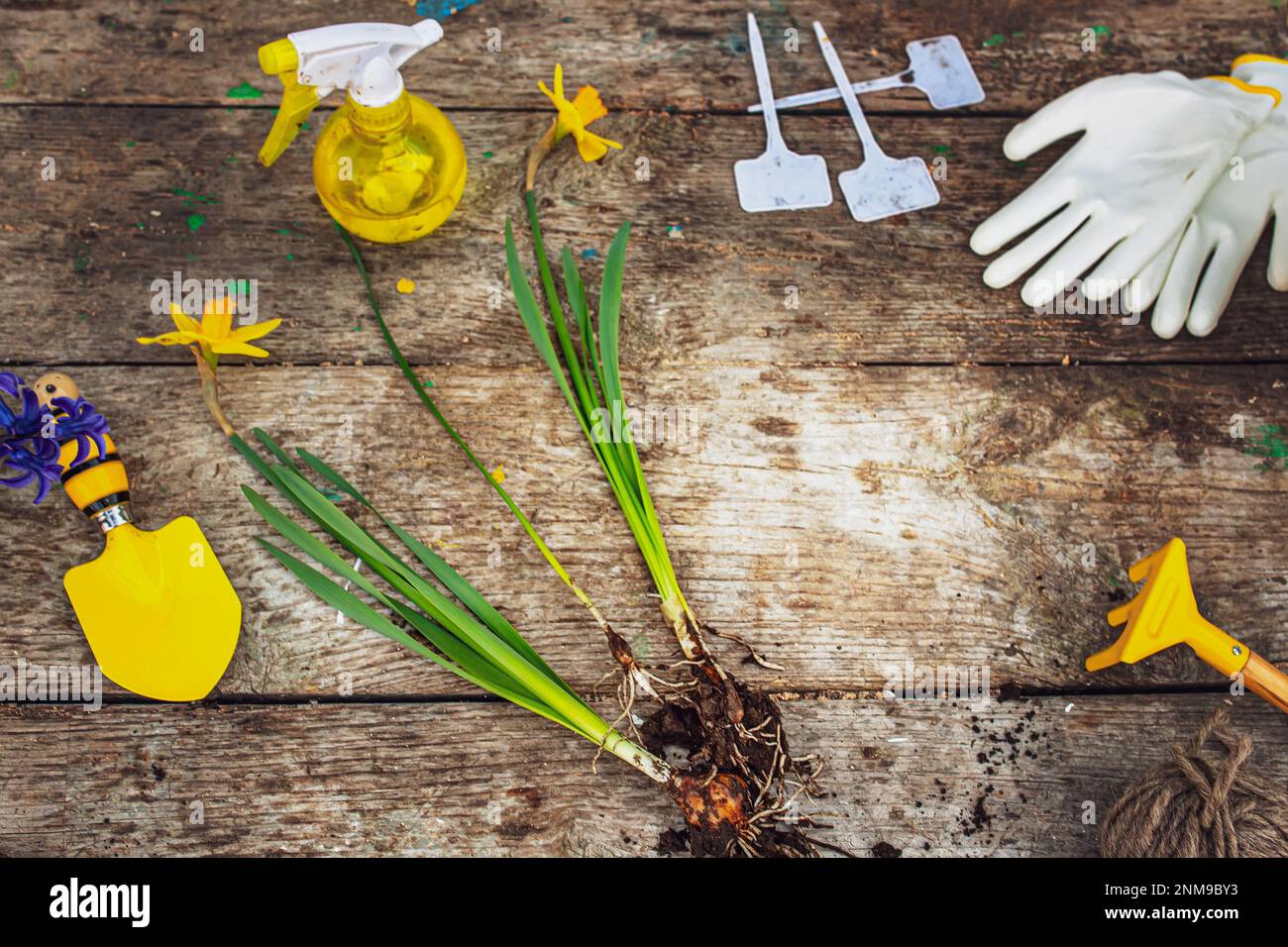 Greenery craft hi-res stock photography and images - Alamy