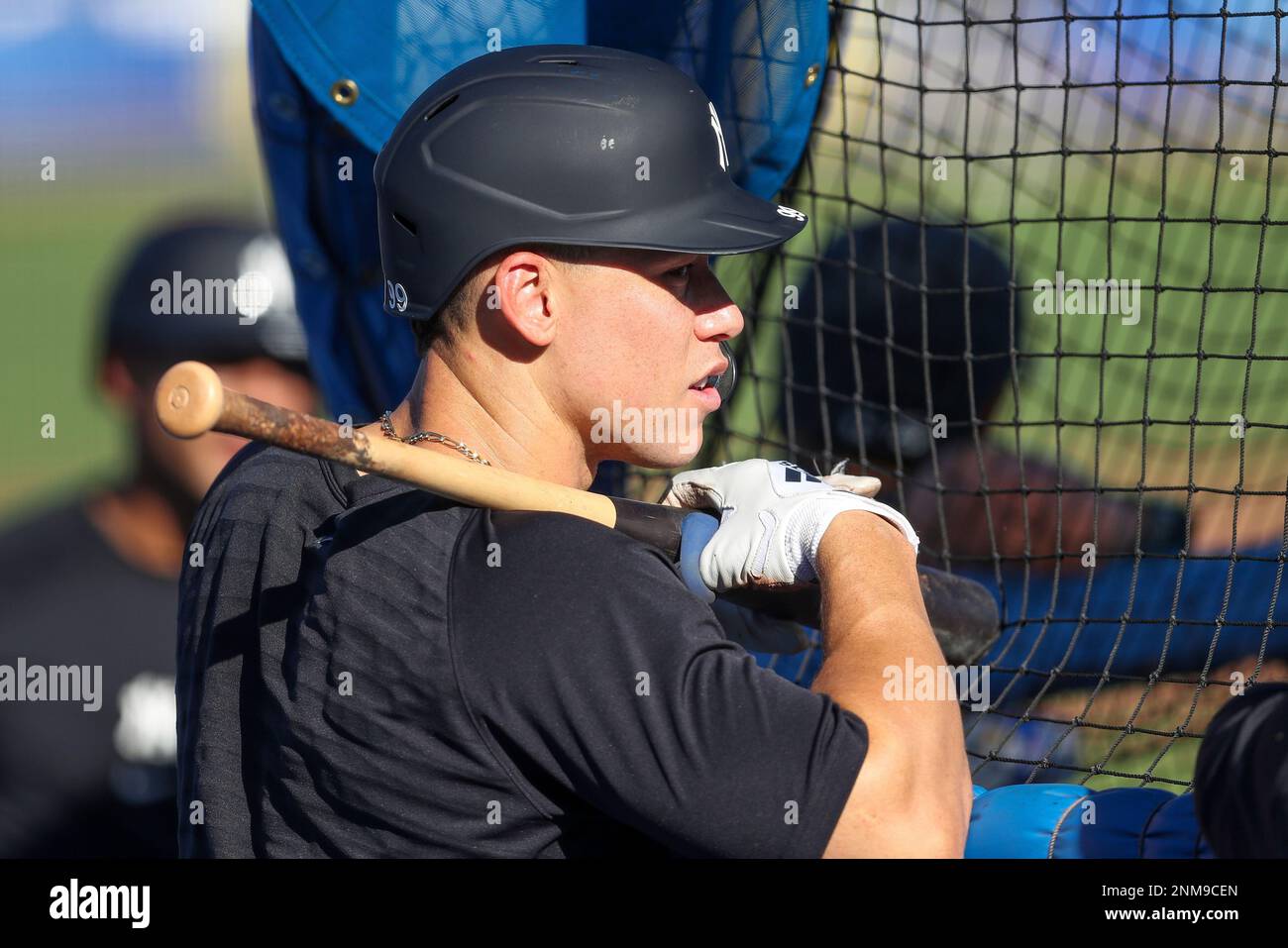 NY Yankees Aaron Judge during a baseball game against the Toronto ...