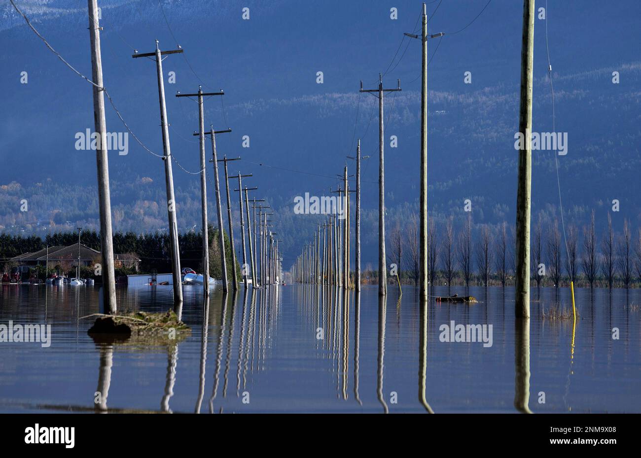 Utility poles along Number 5 Rd. are reflected in floodwater following ...