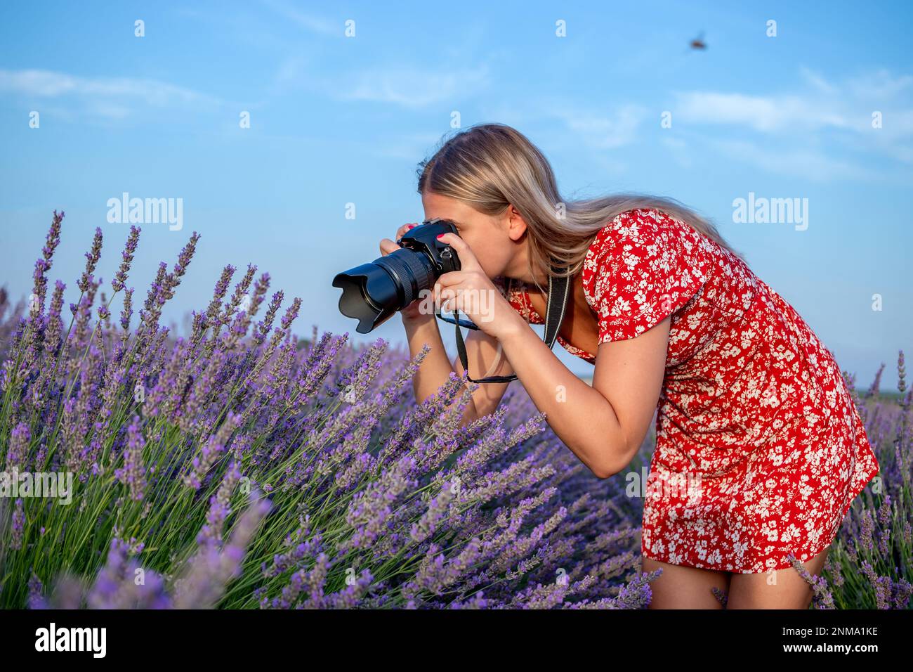 Beautiful woman taking pictures outdoors with a DSLR camera. Female ...