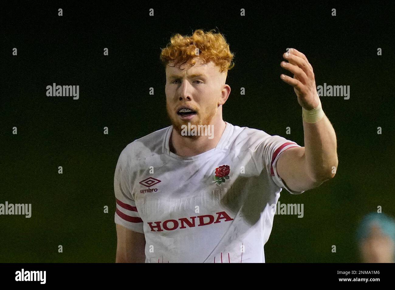 Lewis chessum hi-res stock photography and images - Alamy