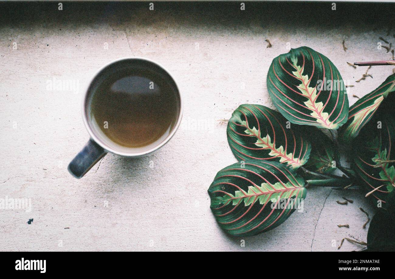 A picture looking through the viewfinder of a Twin Lens Reflex (TLR ...