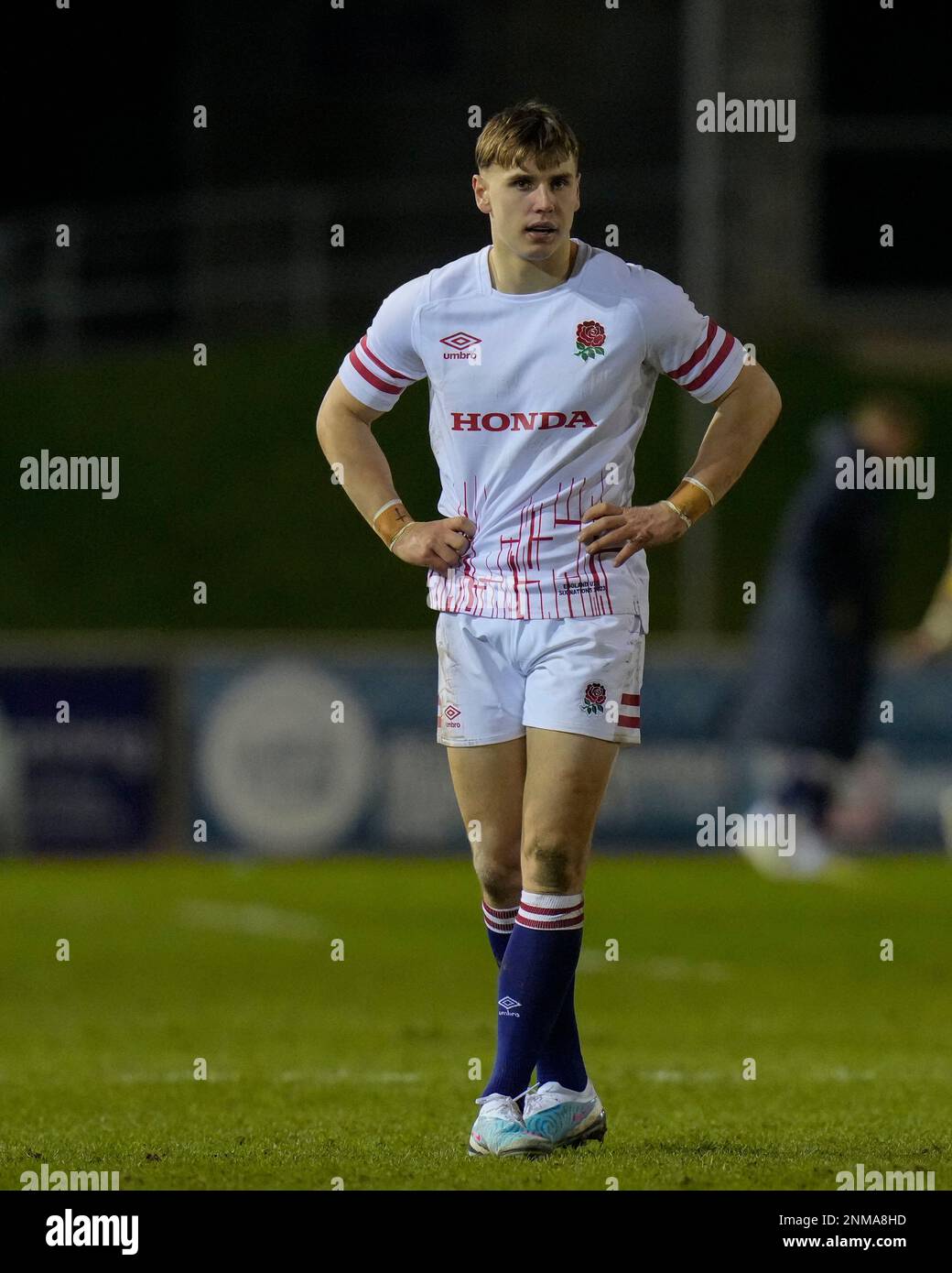 Tobias elliott hi-res stock photography and images - Alamy