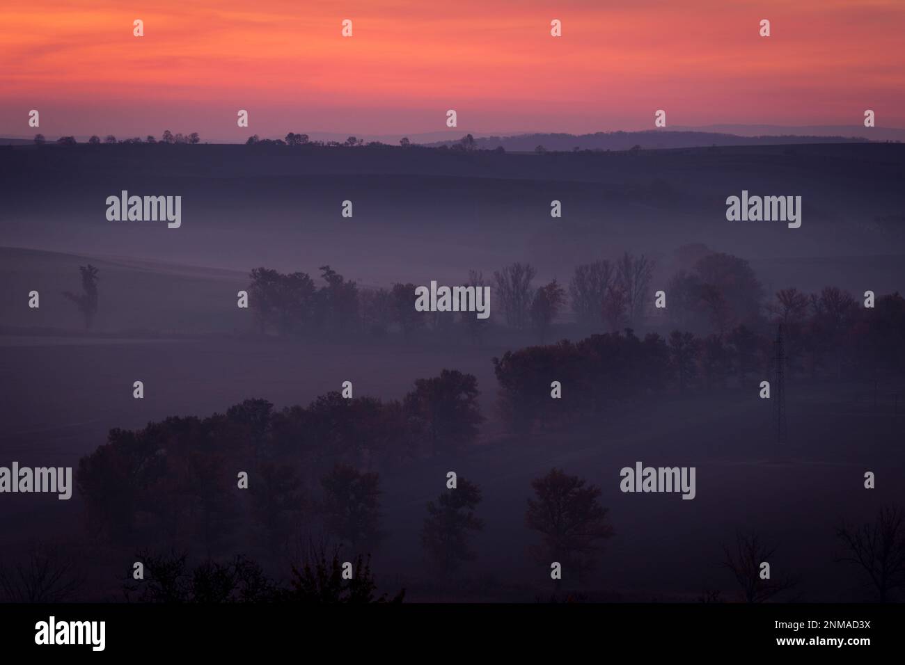 Beautiful Moravian fields with avenues of trees shrouded in morning fog ...