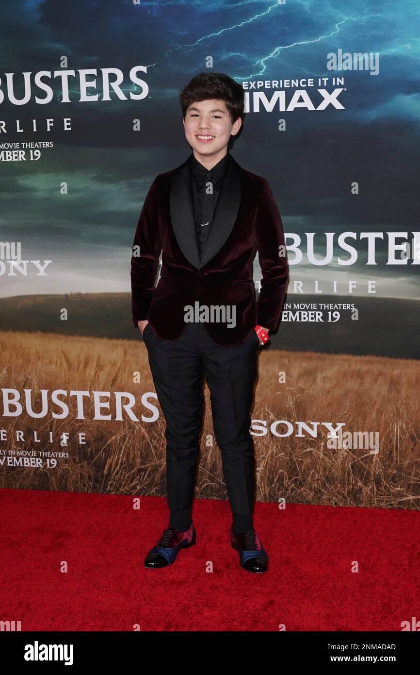 Photo by: John Nacion/STAR MAX/IPx 2021 11/15/21 Logan Kim at the ...