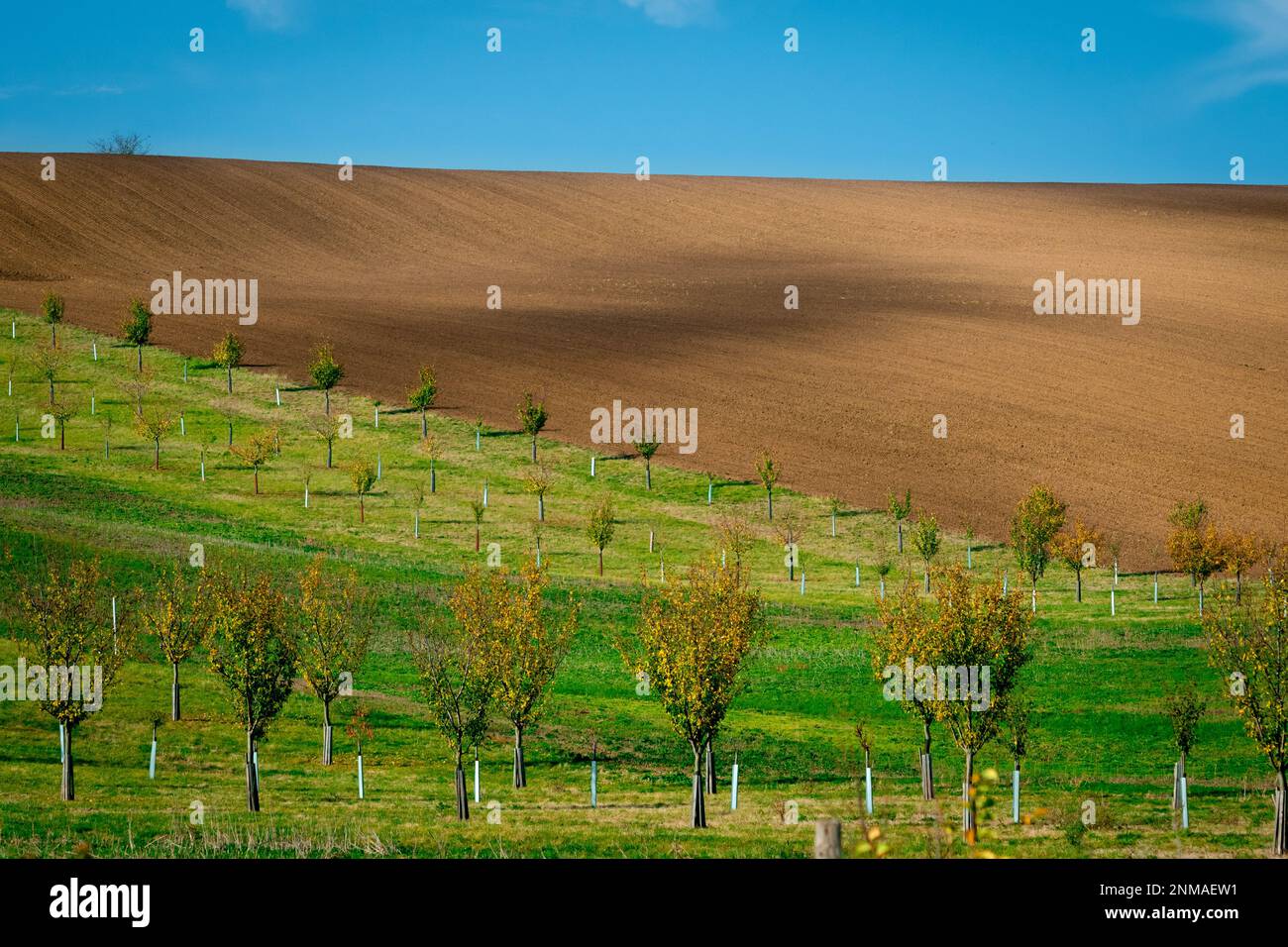 Moravian landscapes of wavy fields with a wealth of colors. Czech ...