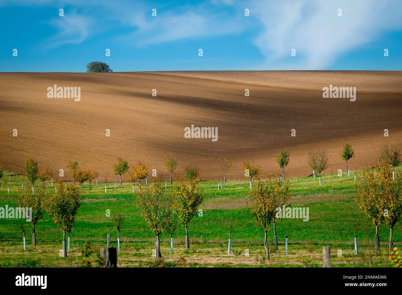 Moravian landscapes of wavy fields with a wealth of colors. Czech ...