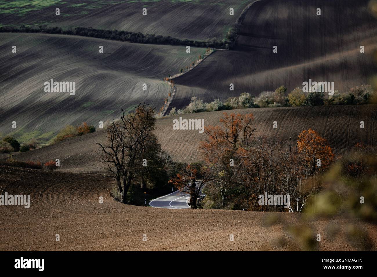 Road running through beautiful Moravian fields at autumn time. Czech ...