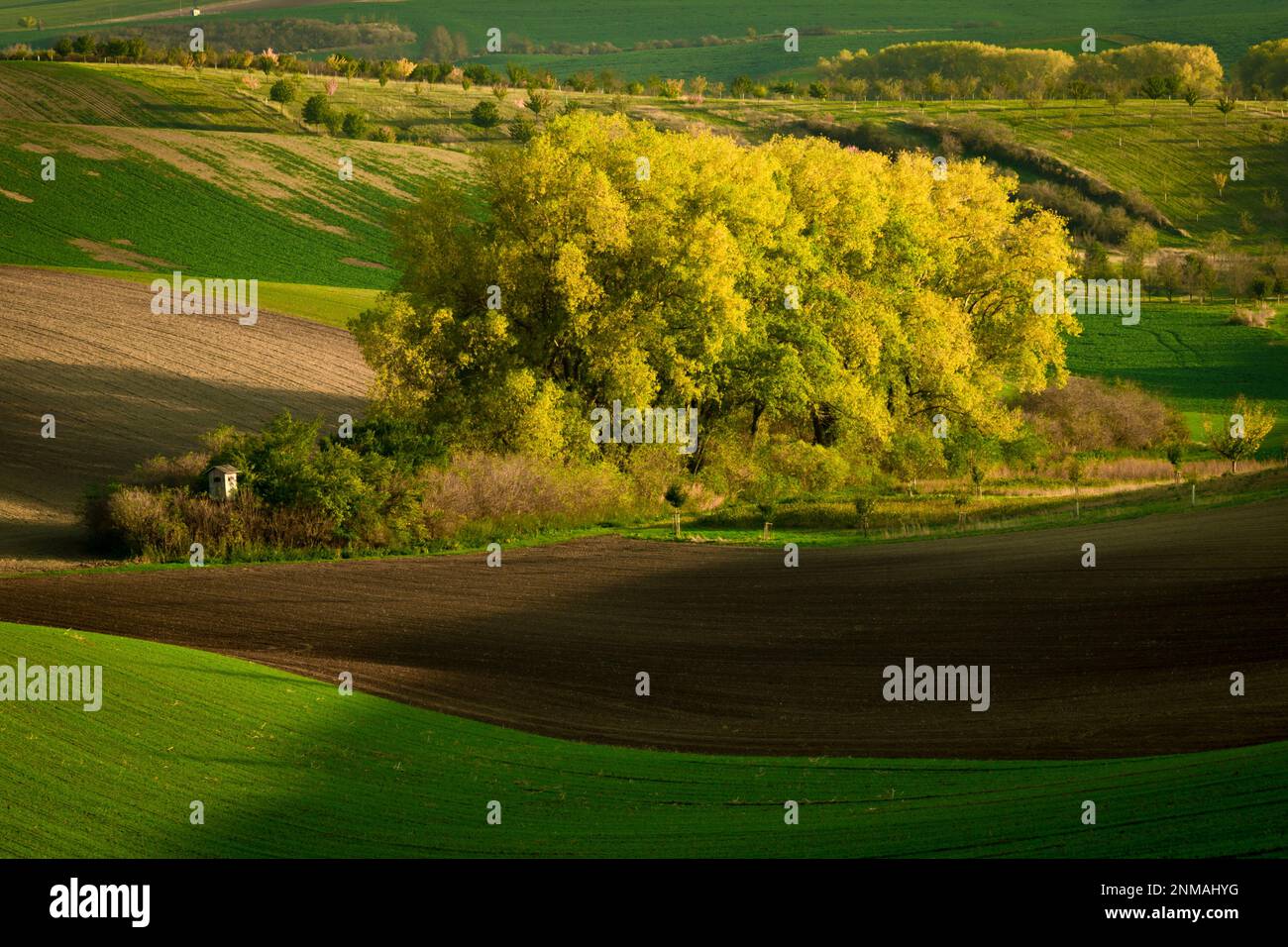 Wonderful landscapes of autumn Moravian fields in the golden hour ...