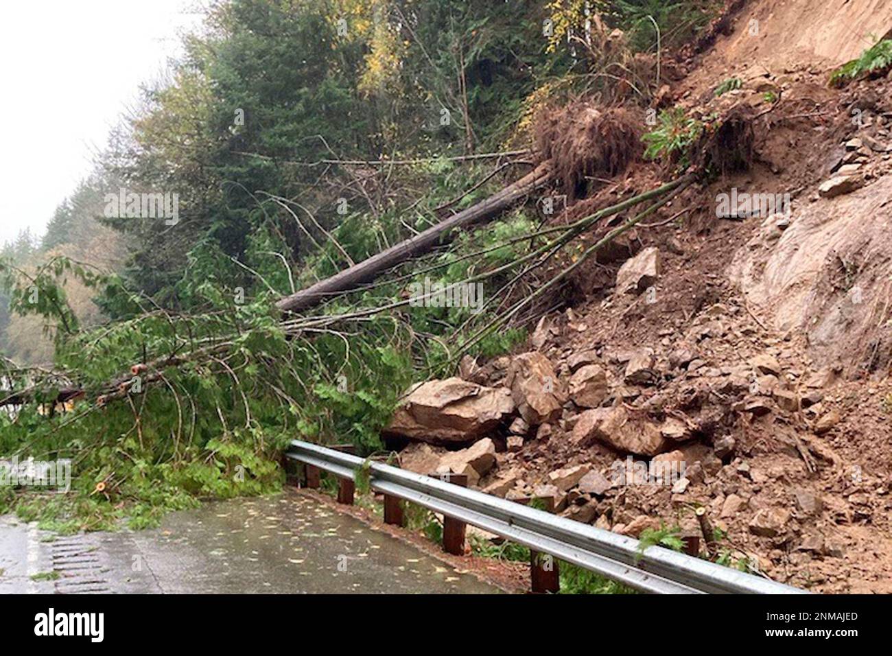 In this photo provided by the Washington State Department of ...