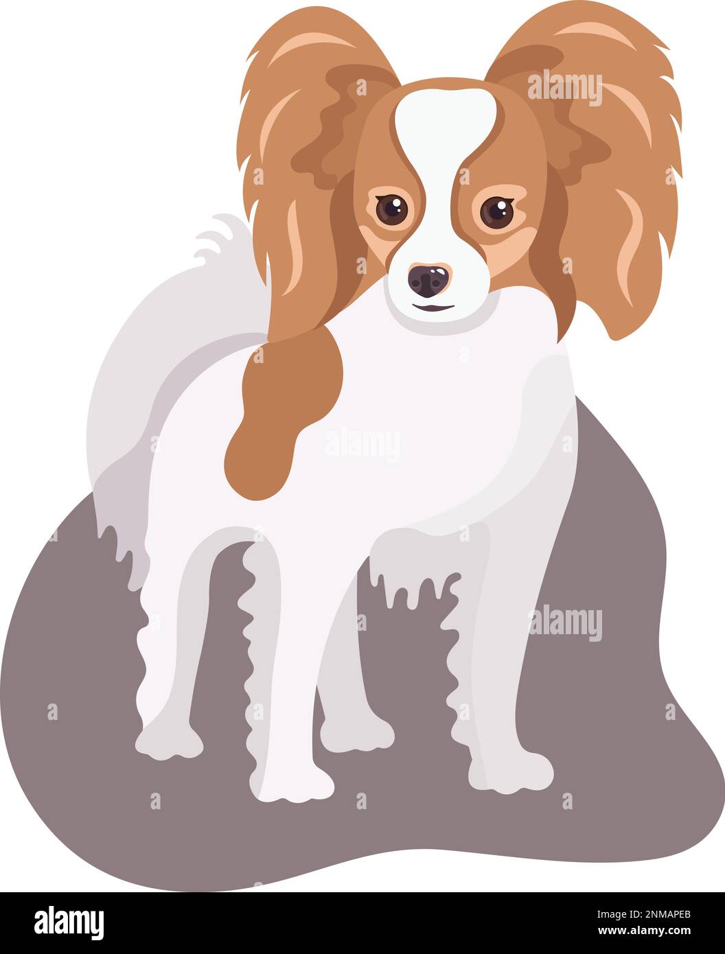 Cartoon papillon dog isolated on white background. Cute vector little ...