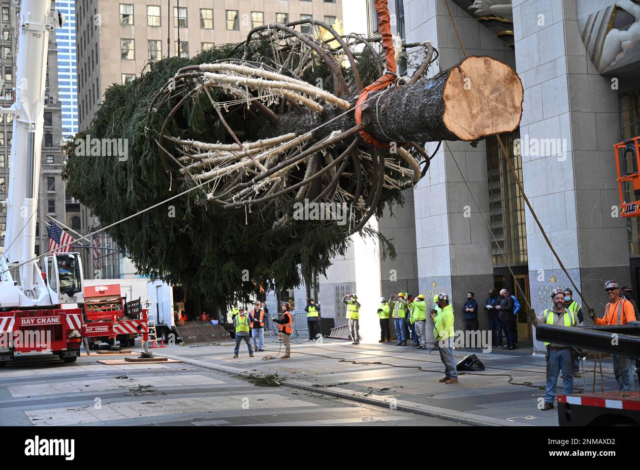 Photo by: NDZ/STAR MAX/IPx 2021 11/13/21 Workers prepare the tree to be ...