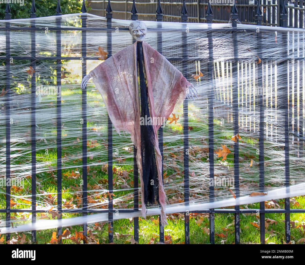 Webs around leaves hi-res stock photography and images - Alamy