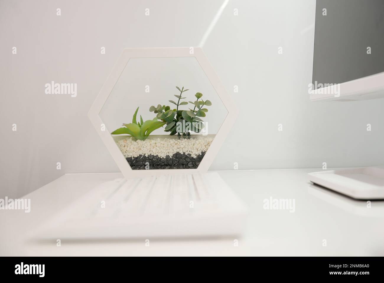White office desk with laptop computer, potted plant and stationery ...