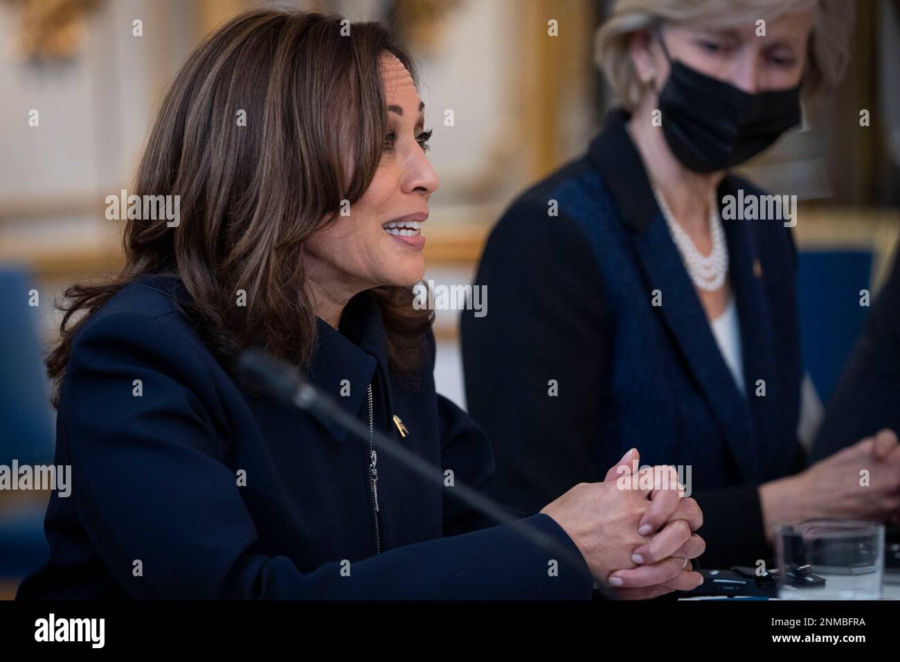 Vice President Kamala Harris meets with French President Emmanuel ...