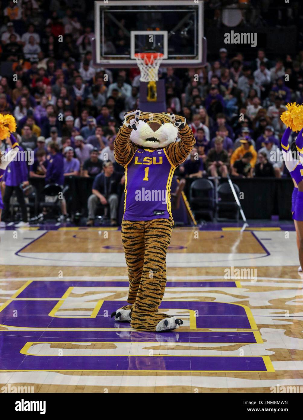 November 9, 2021: LSU mascot Mike the Tiger cheers on the crowd during ...