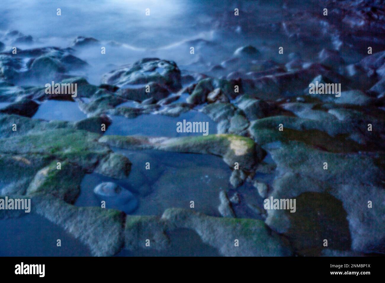 New, Age-defying, digital age, premium, eye-catching, stand-out, high ...