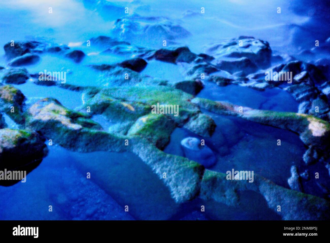 New, Age-defying, digital age, premium, eye-catching, stand-out, high ...