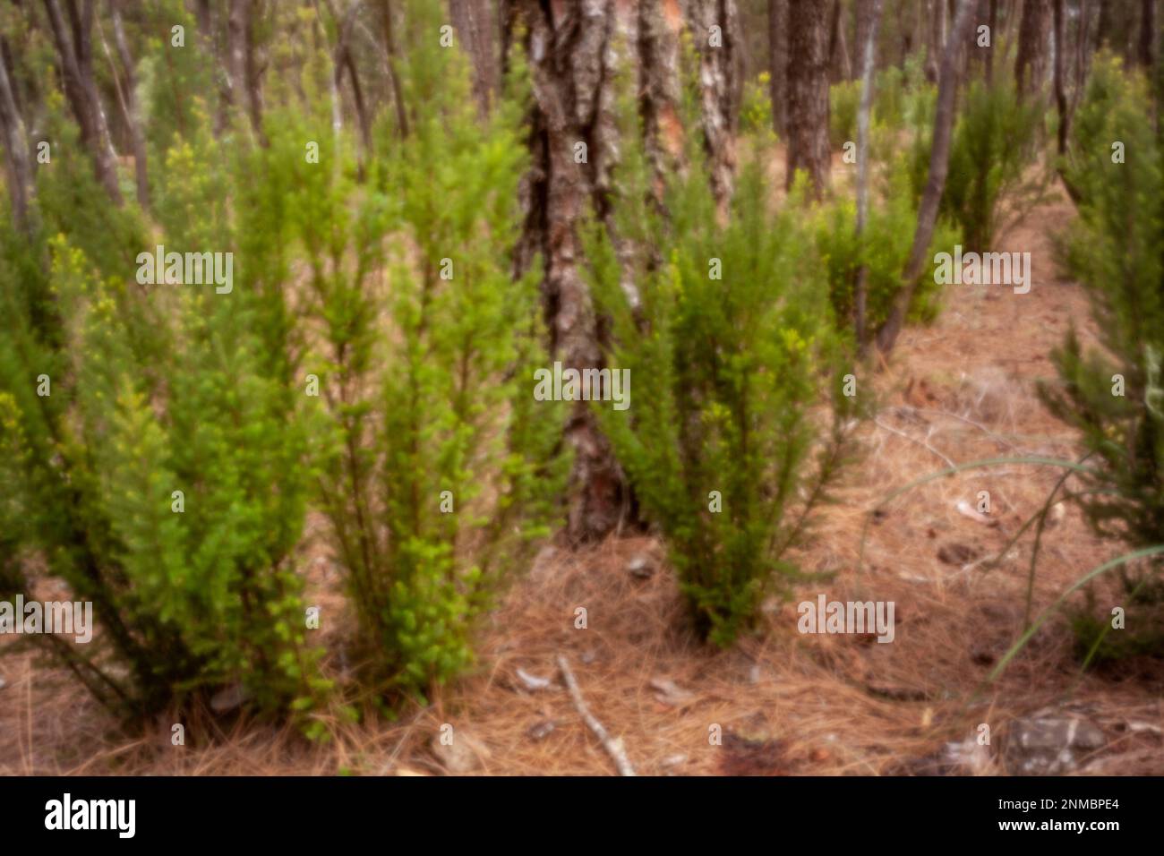 New, Age-defying, digital age, lensless, eye-catching, high resolution ...