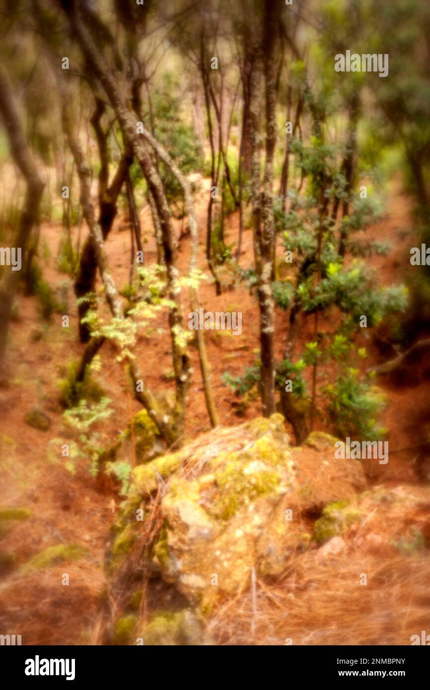 New, Age-defying, digital age, lensless, eye-catching, high resolution ...