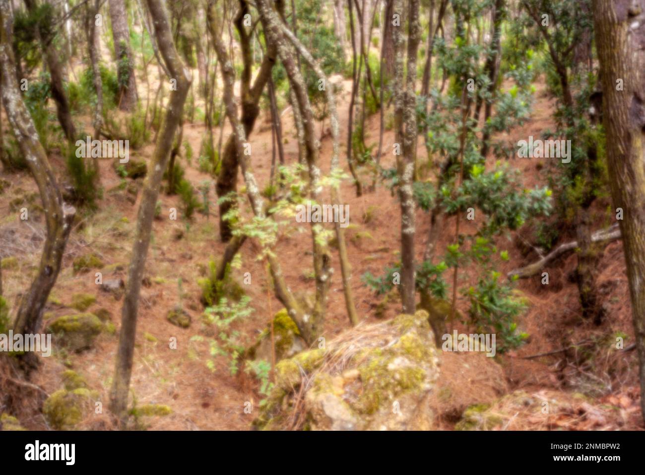 New, Age-defying, digital age, lensless, eye-catching, high resolution ...