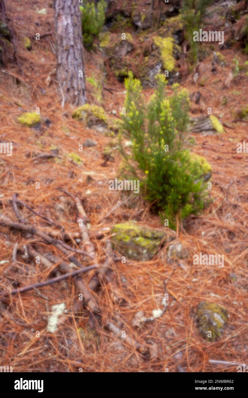 Topographic refugia hi-res stock photography and images - Alamy