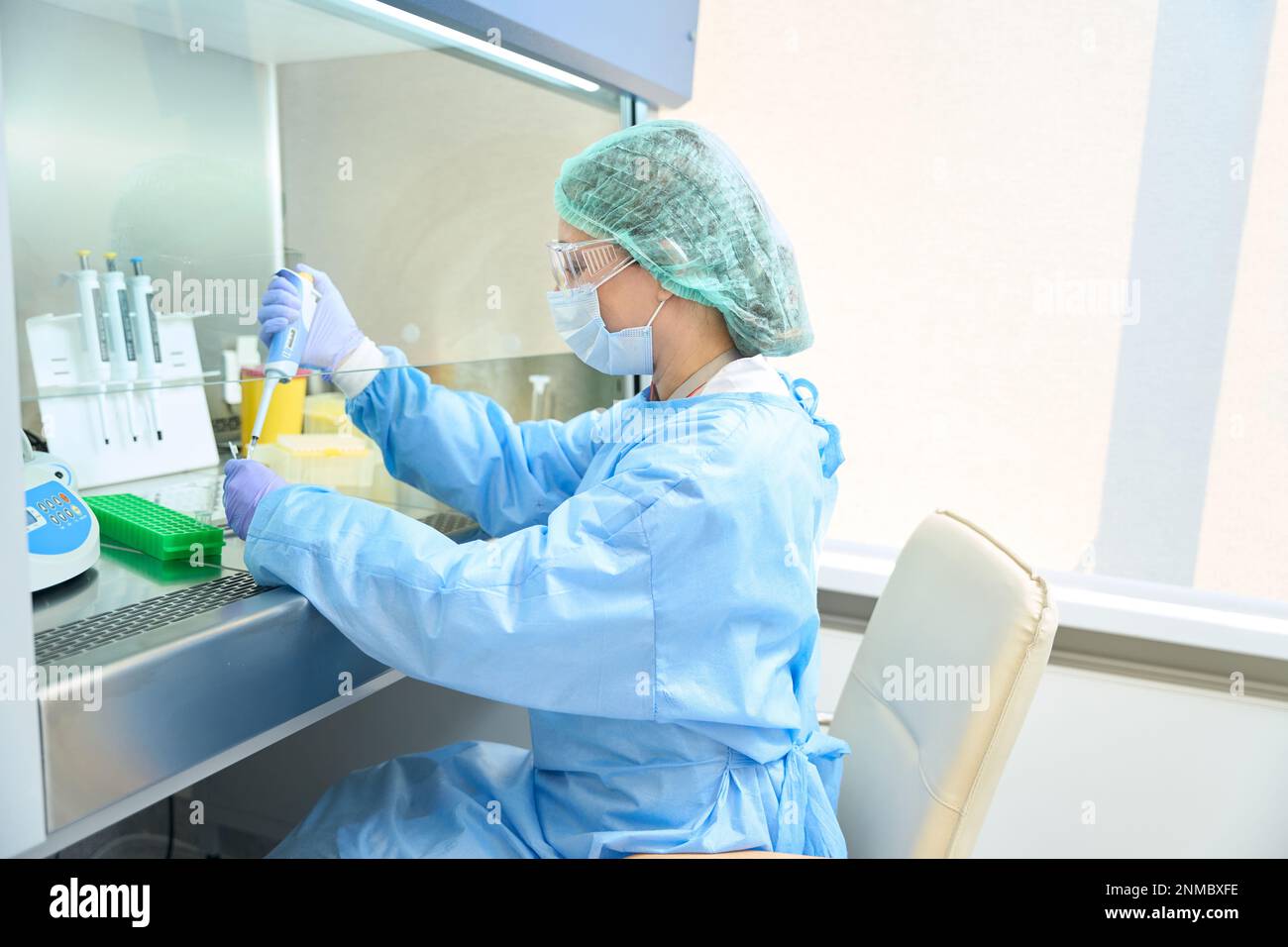 Female laboratory assistant collects biomaterial with special pipette ...