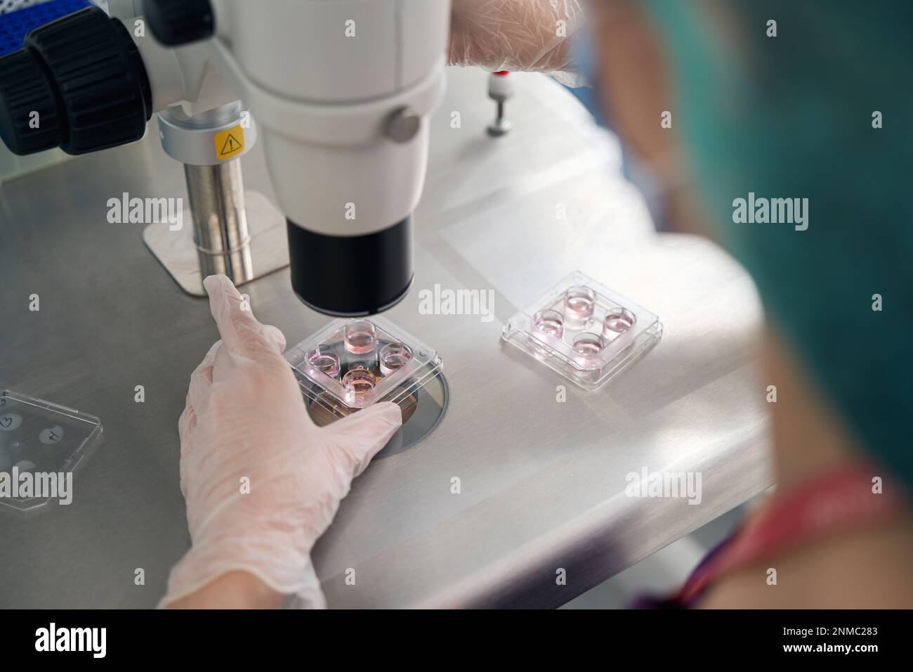 Embryo blocks hi-res stock photography and images - Alamy