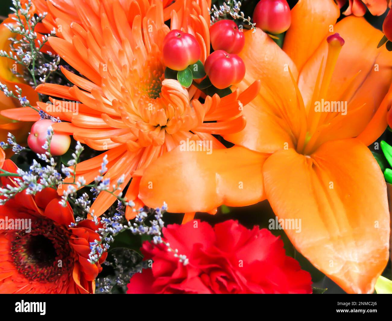 Extreme close up flowers hi-res stock photography and images - Alamy
