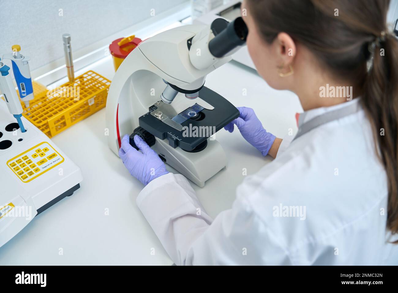 Laboratory assistant examines sample biomaterial for DNA test under ...