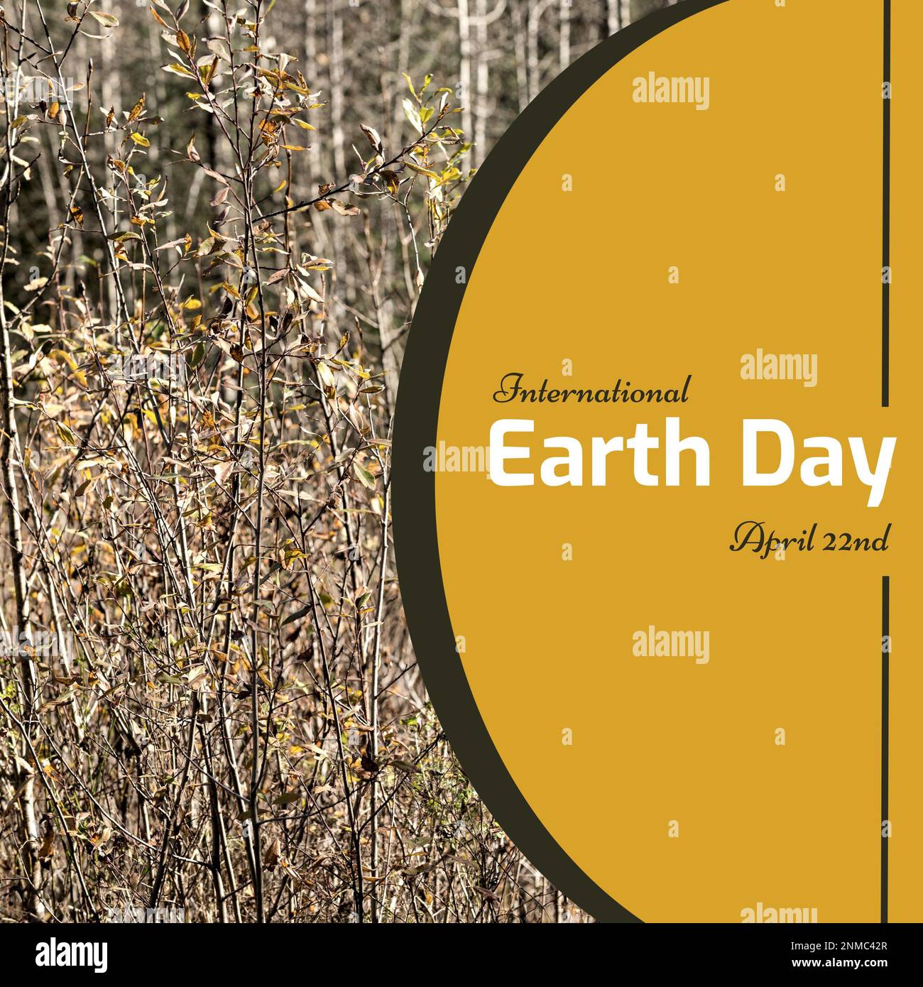 Image of international earth day text over plants in forest ...