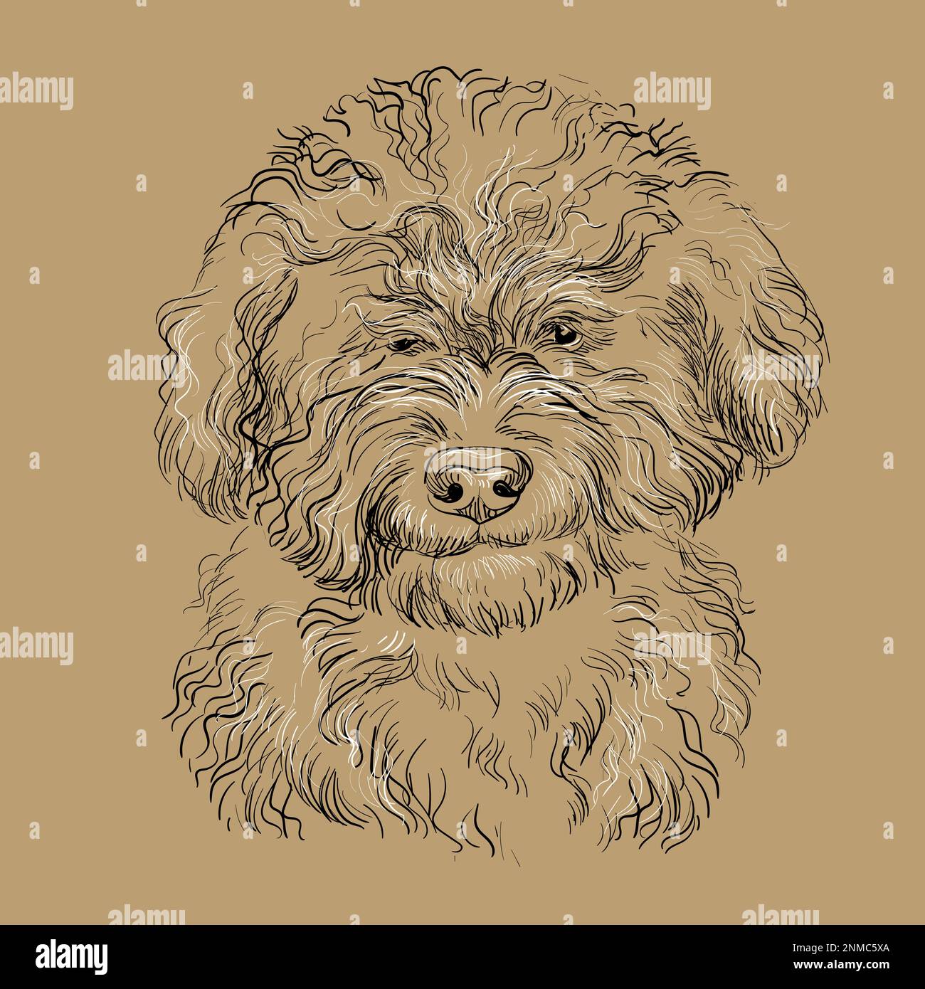 Close up Barbet dog hand drawing monochrome vector isolated ...