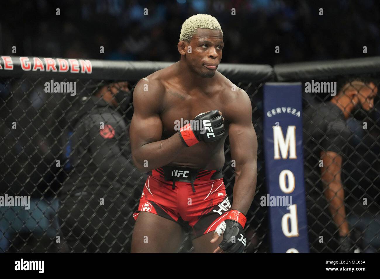NEW YORK, NY - NOVEMBER 6: Phil Hawes prepares to fight Chris Curtis in ...