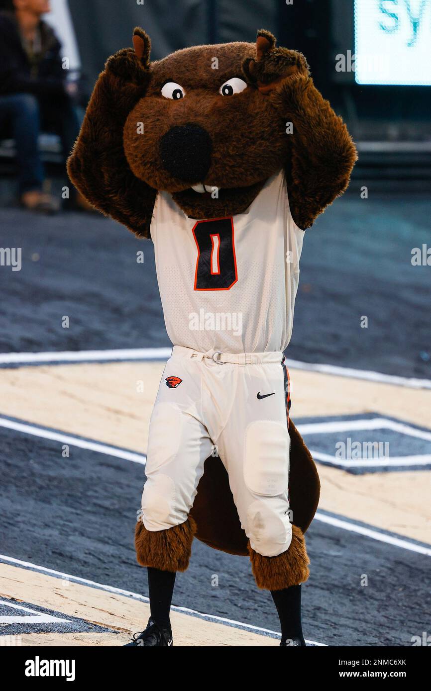 November 06, 2021: Oregon State mascot Benny Beaver has some fun during ...