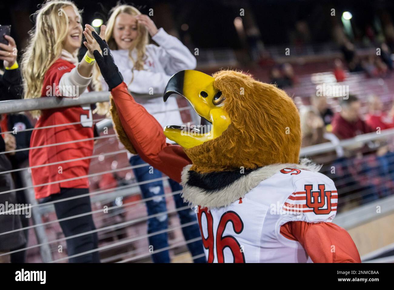 Stanford University Mascot 2022