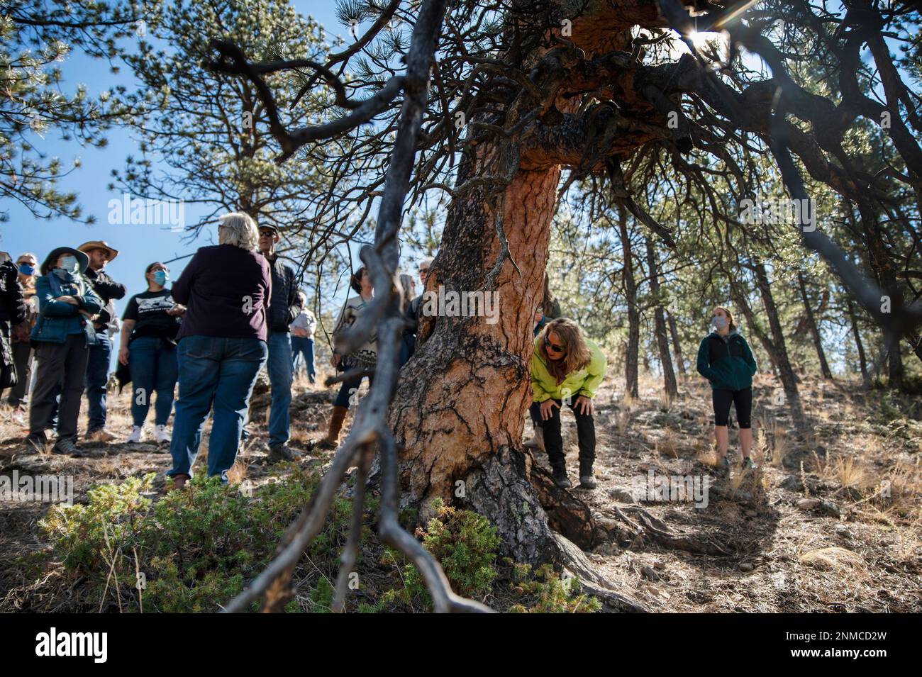 Janet Shown, front left, co-founder of NASTaP, or Association for ...