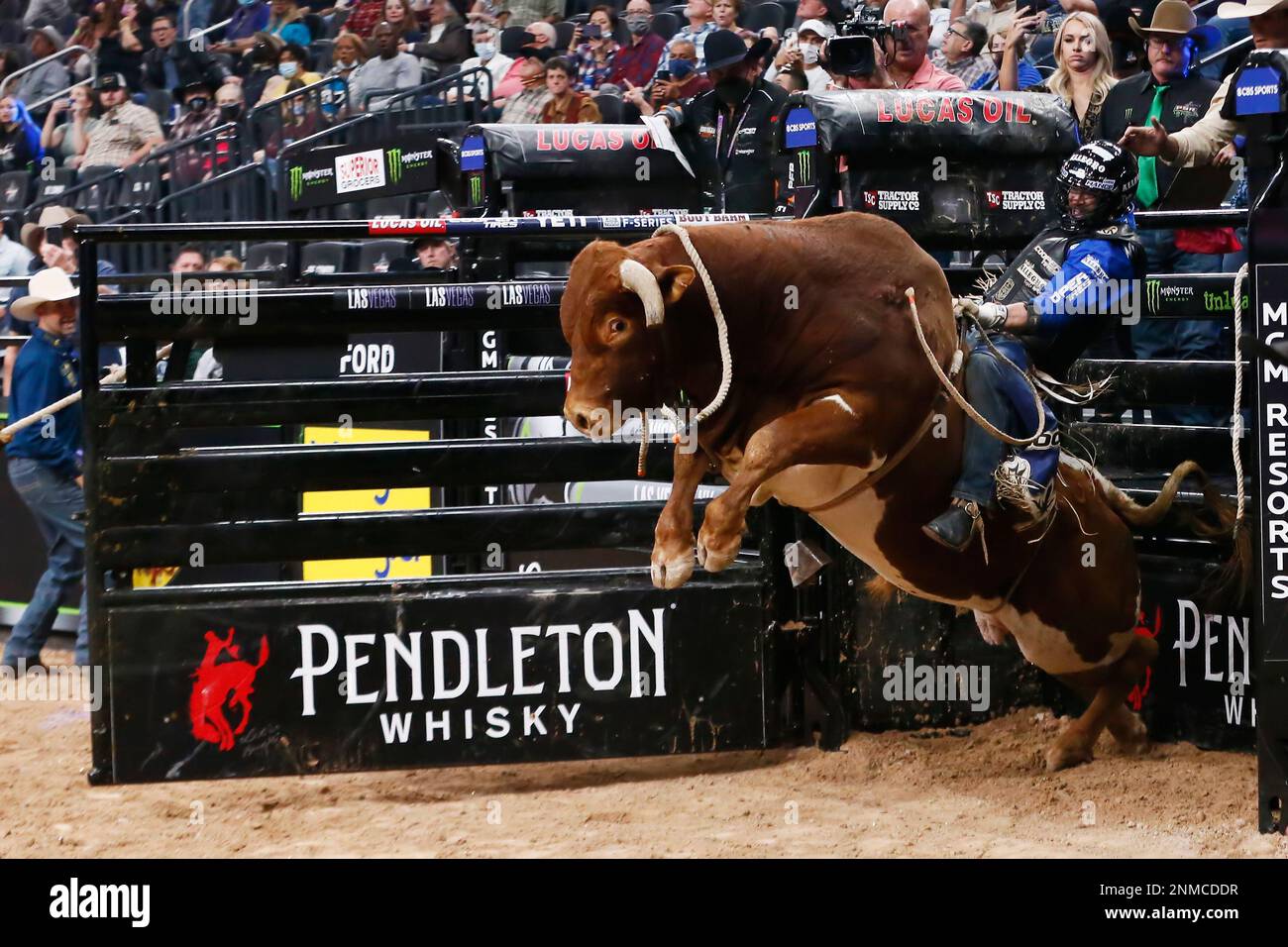 LAS VEGAS, NV - NOVEMBER 04: Cody Nance rides bull Marquis Metal Works ...