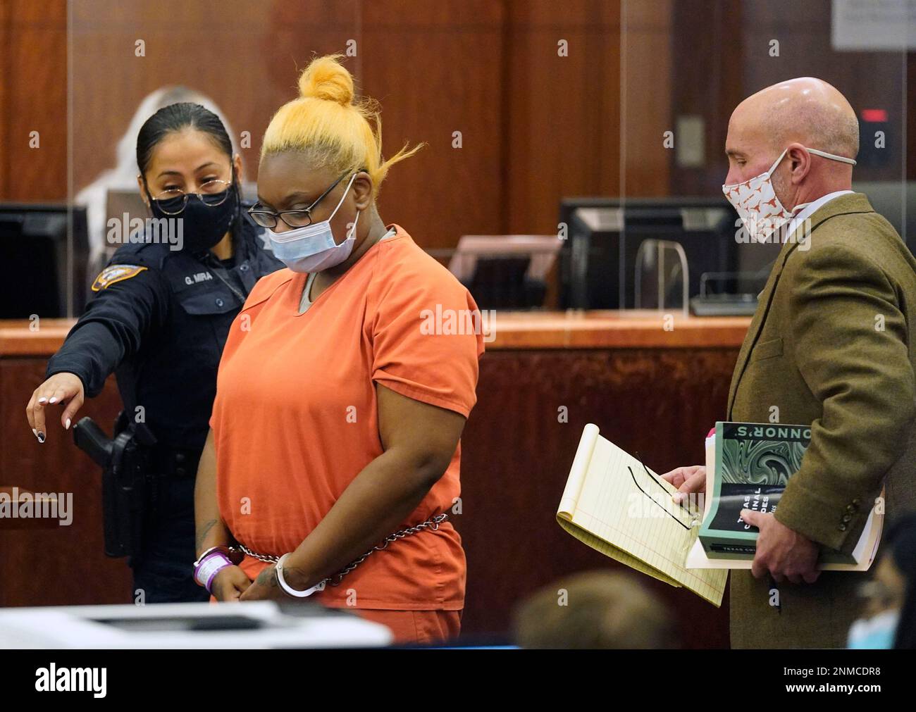 Gloria Williams appears in the Harris County 178th Criminal Court of ...