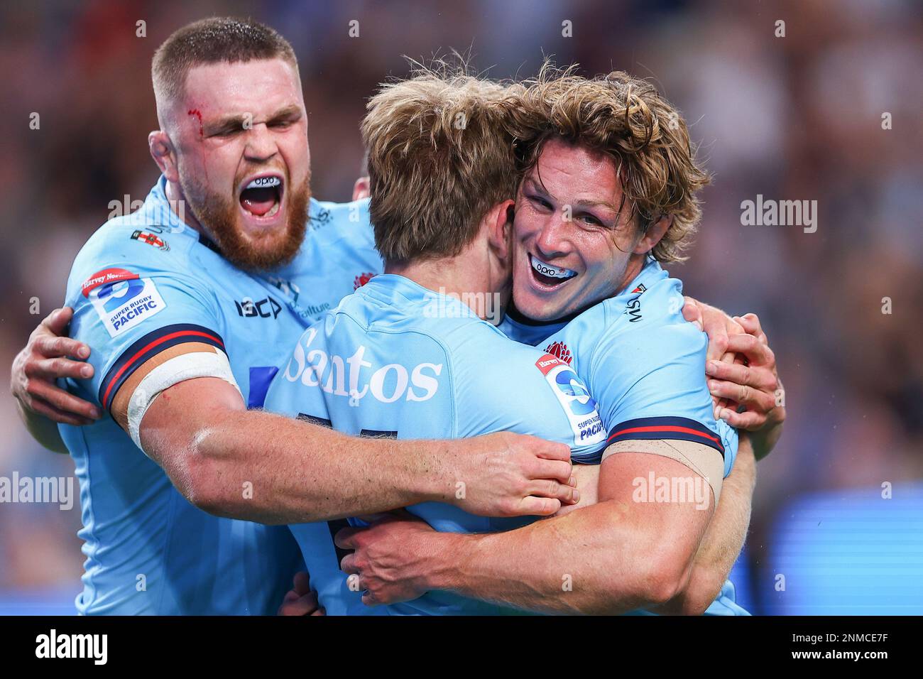 Waratahs celebrate super rugby pacific hi-res stock photography and ...