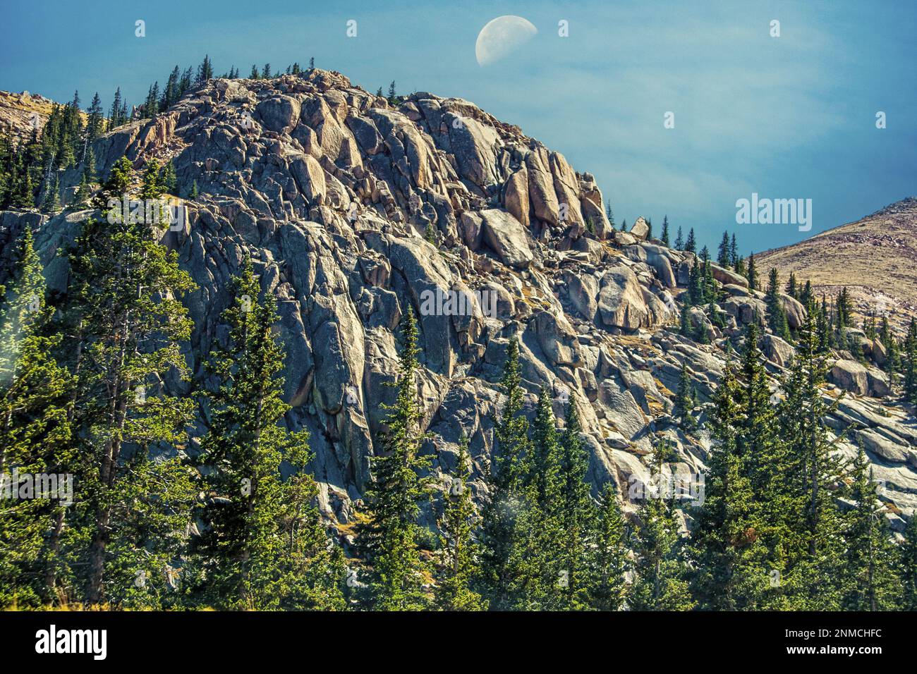Rocky mountain at treeline with pine trees at Pikes Peak USA with ...