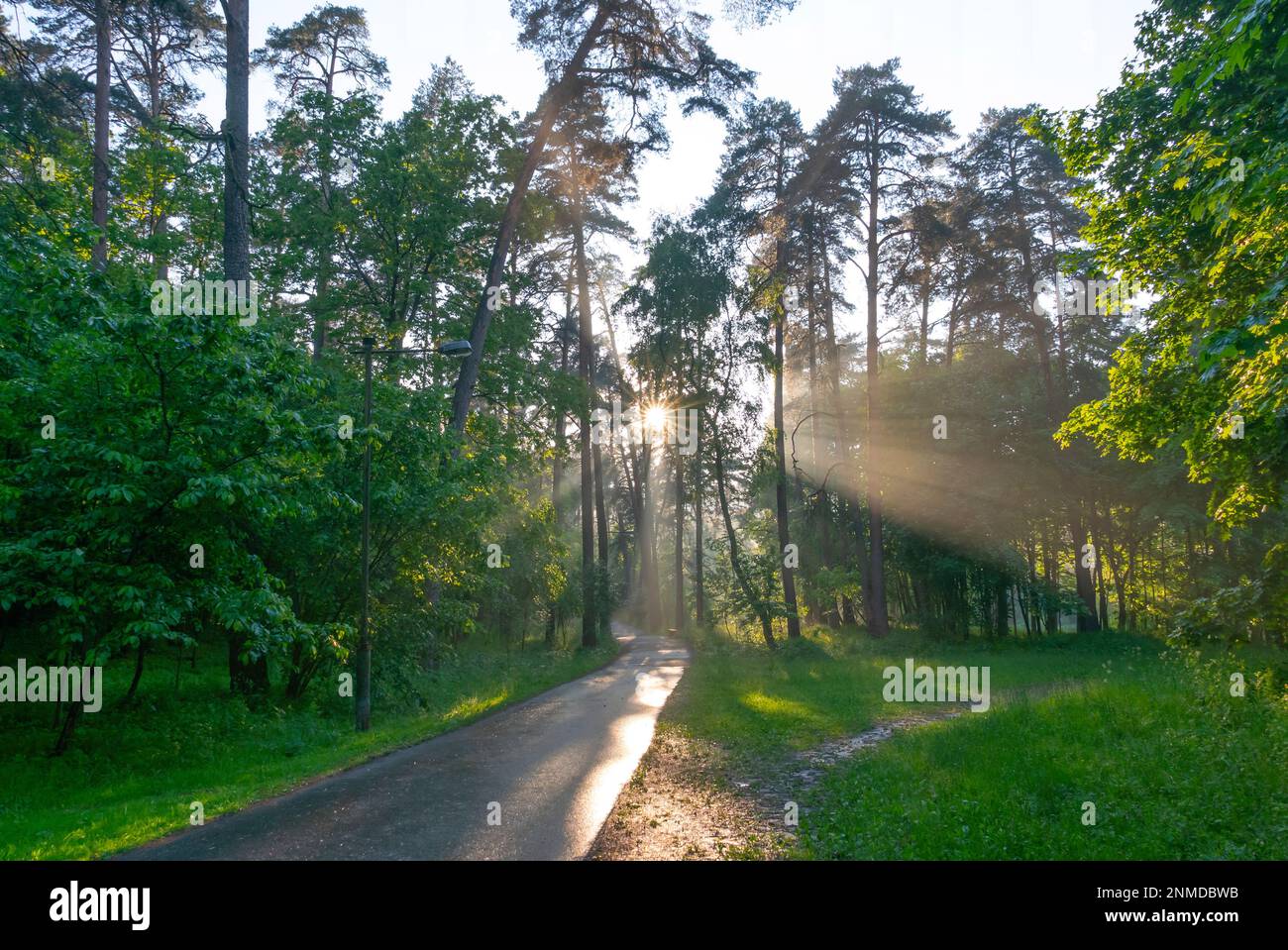 Beautiful fog morning sun hi-res stock photography and images - Alamy